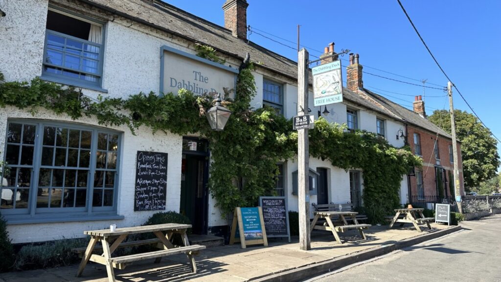 Most Recent - Major Foodie